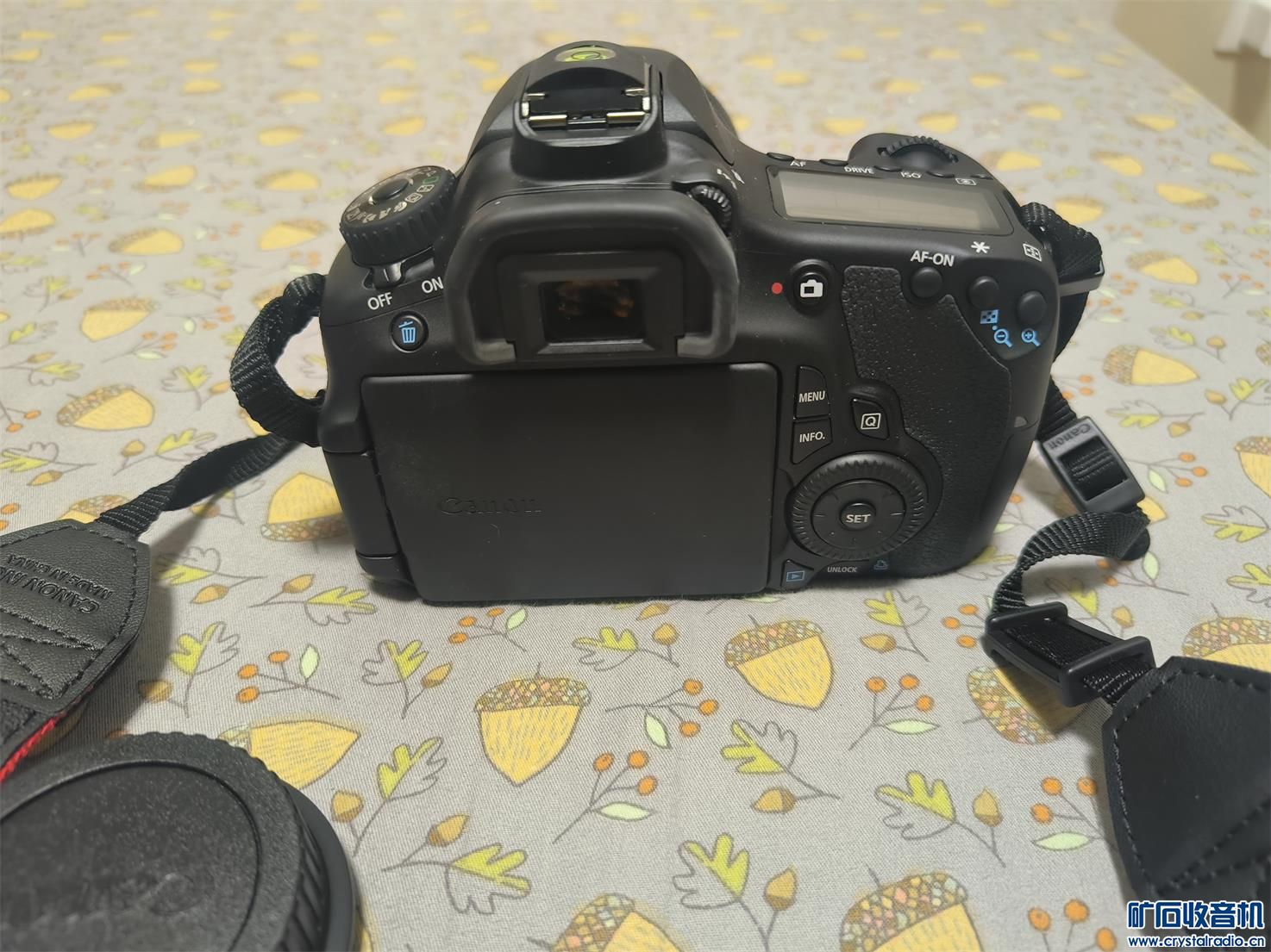 出个佳能ED60单反相机+18-135镜头全套 2300包非偏 - 〓器材友情交换〓 - 矿石收音机论坛 - Powered by Discuz!