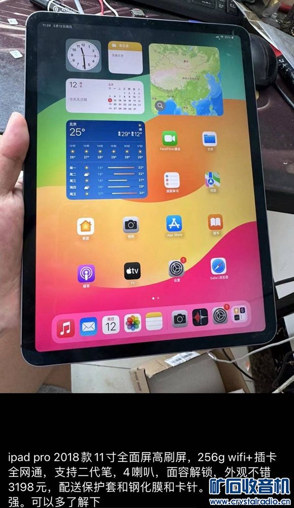 ipad专贴，迷你5 6 pro5 pro2 pro3等，ipad8 ipad9和其他性价比高的 - 〓器材友情交换〓 - 矿石收音机论坛 - Powered by Discuz!